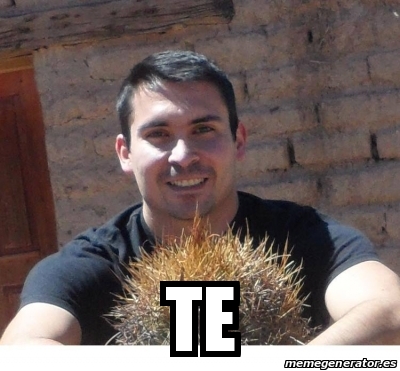 Meme Personalizado - te - 19890148