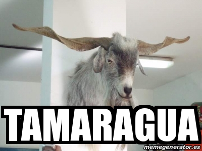 Meme Personalizado - Tamaragua - 19890543