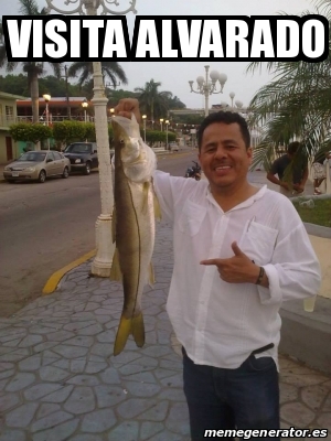 Meme Personalizado - visita alvarado - 19891986