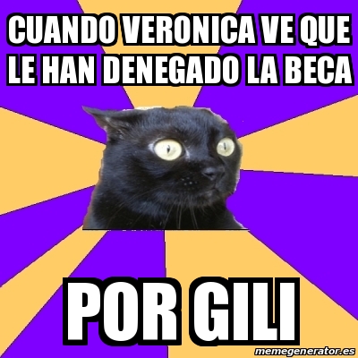 Meme Anxiety Cat - CUANDO VERONICA VE QUE LE HAN DENEGADO LA BECA POR ...