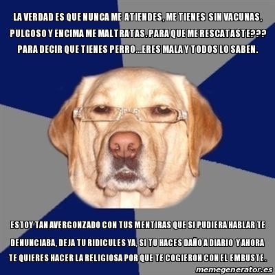 Meme Perro Racista - la verdad es que nunca me atiendes, me tienes sin ...