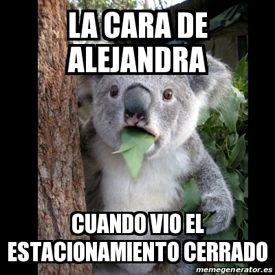 Meme Koala - la cara de alejandra cuando vio el estacionamiento cerrado ...