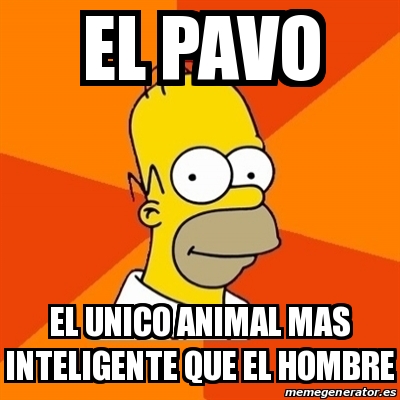 Meme Homer - El pavo el unico animal mas inteligente que el hombre ...