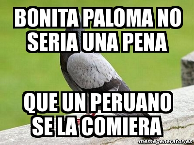 Meme Personalizado - Bonita paloma no seria una pena que un peruano se ...