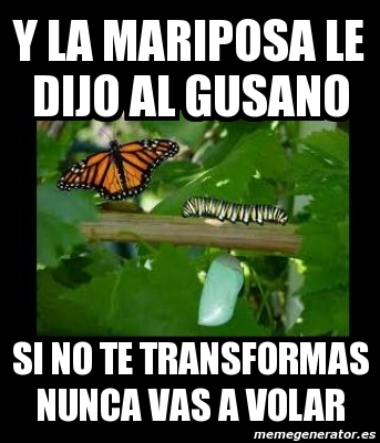 Meme Personalizado - y la mariposa le dijo al gusano si no te ...