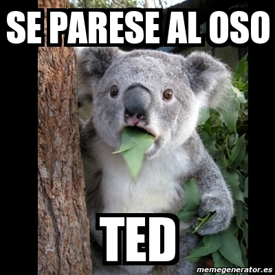 Meme Koala - se parese al oso ted - 2140132