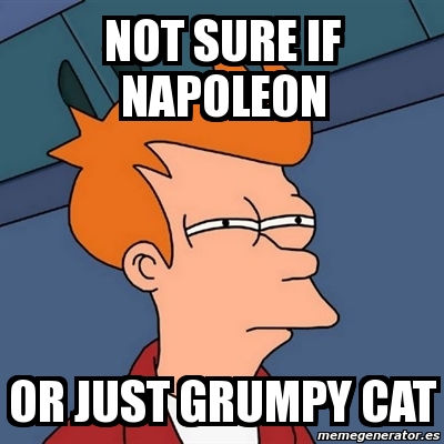 Meme Futurama Fry - Not sure if napoleon or just grumpy cat - 2168812