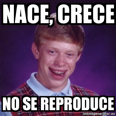 Meme Bad Luck Brian - nace, crece no se reproduce - 2196099