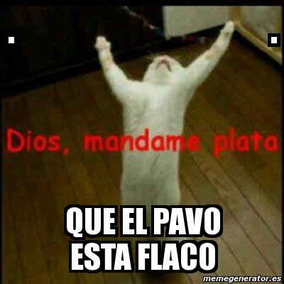 Meme Personalizado - . . que el pavo esta flaco - 2211263