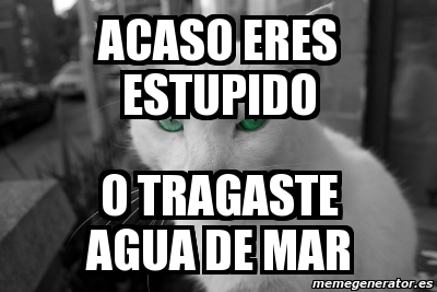 Meme Personalizado - aCASO ERES ESTUPIDO o tragaste agua de mar - 2220339