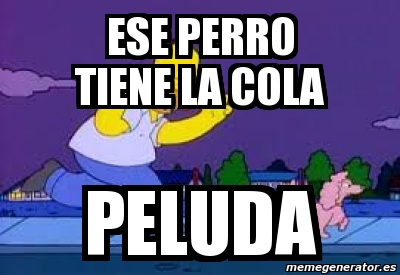 Meme Personalizado - ese perro tiene la cola peluda - 2250347