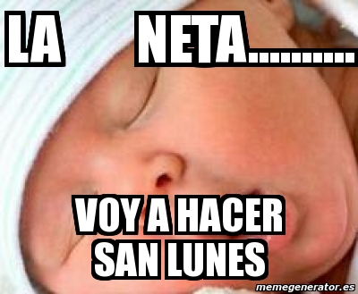 Meme Personalizado - LA NETA.......... VOY A HACER SAN LUNES - 2272473