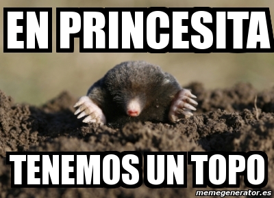 Meme Personalizado - en princesita tenemos un topo - 2280580