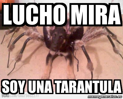 Meme Personalizado - lucho mira soy una tarantula - 2287324