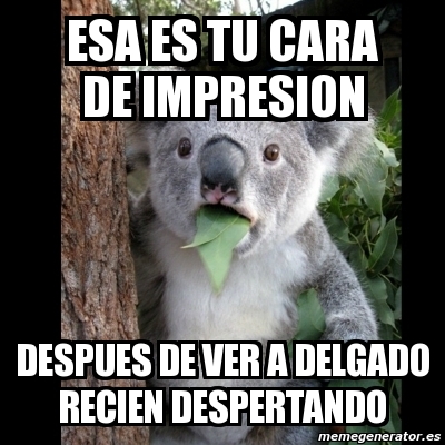Meme Koala - esa es tu cara de impresion despues de ver a delgado ...
