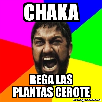 Meme Sparta - chaka rega las plantas cerote - 2036189