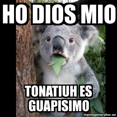 Meme Koala - ho dios mio tonatiuh es guapisimo - 2038810