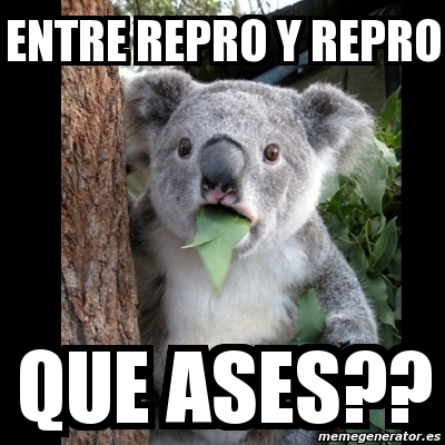 Meme Koala - Entre repro y repro Que ases?? - 2317815