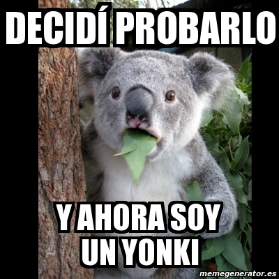 Meme Koala - DecidÃ­ probarlo Y ahora Soy un yonkI - 2318196