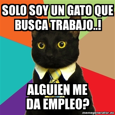 Meme Business Cat - sOLO SOY UN GATO QUE BUSCA TRABAJO..! aLGUIEN ME DA ...