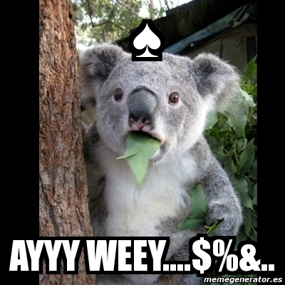 Meme Koala - â™ ayyy weey....$%&.. - 2056992