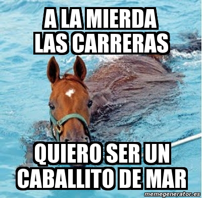 Meme Personalizado - A LA MIERDA LAS CARRERAS quiero ser un caballito ...