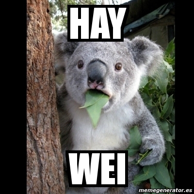 Meme Koala - hay wei - 2502748