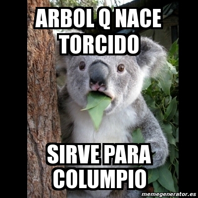Meme Koala - arbol q nace torcido sirve para columpio - 2502784