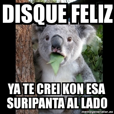 Meme Koala - disque feliz ya te crei kon esa suripanta al lado - 2509949