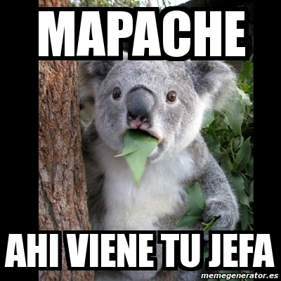 Meme Koala - mapache ahi viene tu jefa - 2572597