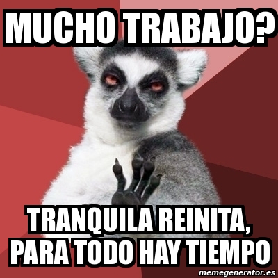 Meme Chill Out Lemur - MUCHO TRABAJO? TRANQUILA REINITA, PARA TODO HAY ...