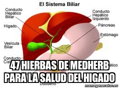 Meme Personalizado - 47 hierbas de medherb para la salud del higado ...