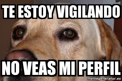 Meme Personalizado - TE ESTOY VIGILANDO NO VEAS MI PERFIL - 2594265