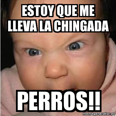 Meme Bebe furioso - estoy que me lleva la chingada perros!! - 2595587