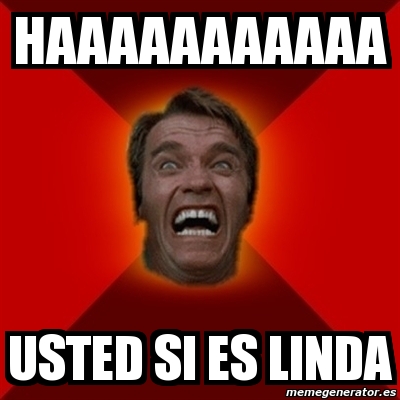 Meme Arnold - haaaaaaaaaaa usted si es linda - 2062655