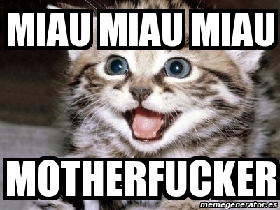 Meme Personalizado - miau miau miau motherfucker - 2062721