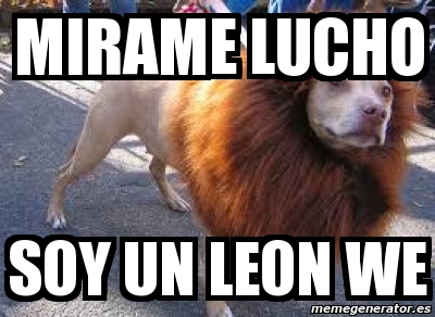 Meme Personalizado - mirame lucho soy un leon we - 2607987