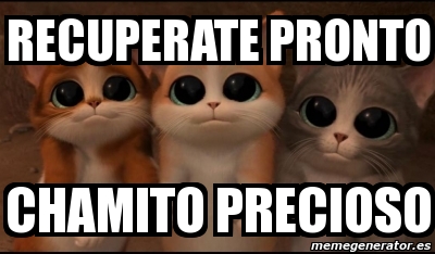 Meme Personalizado - recuperate pronto chamito precioso - 2608983