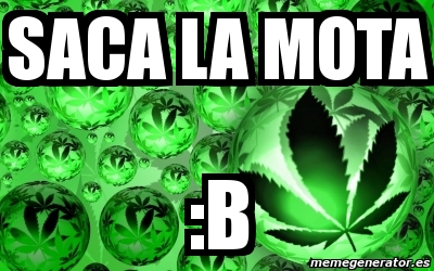 Meme Personalizado - Saca la mota :B - 2613547