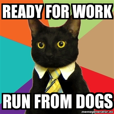 Meme Business Cat - ready for work run from dogs - 2639803