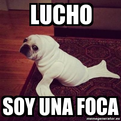Meme De Foca