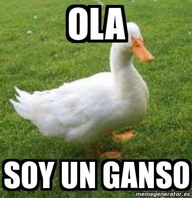 Meme Personalizado - ola soy un ganso - 2656890