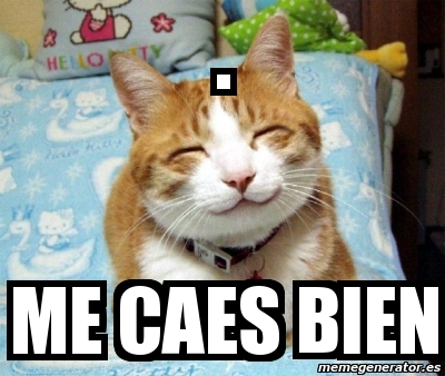 Meme Personalizado - . me caes bien - 2665575