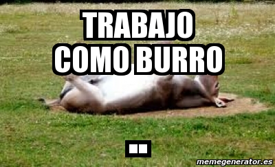 Meme Personalizado - trabajo como burro .. - 2689900