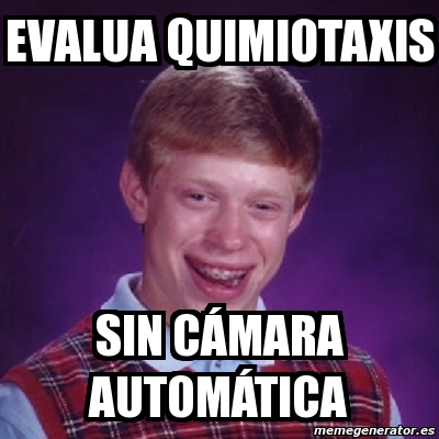 Meme Bad Luck Brian - evalua quimiotaxis sin cÃ¡mara automÃ¡tica - 2072138