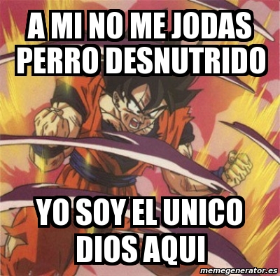 Meme Personalizado - a mi no me jodas perro desnutrido yo soy el unico ...