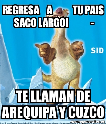 Meme Personalizado - regresa a tu pais saco largo! - te llaman de ...