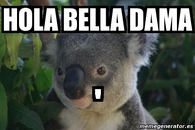 Meme Personalizado - hola bella dama ' - 2733292
