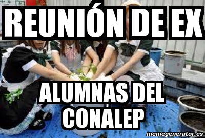 Meme Personalizado - REUNIÃ“N de ex alumnas del conalep - 2741844