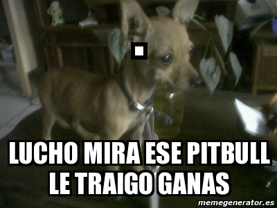 Meme Personalizado - . lucho mira ese pitbull le traigo ganas - 2741860